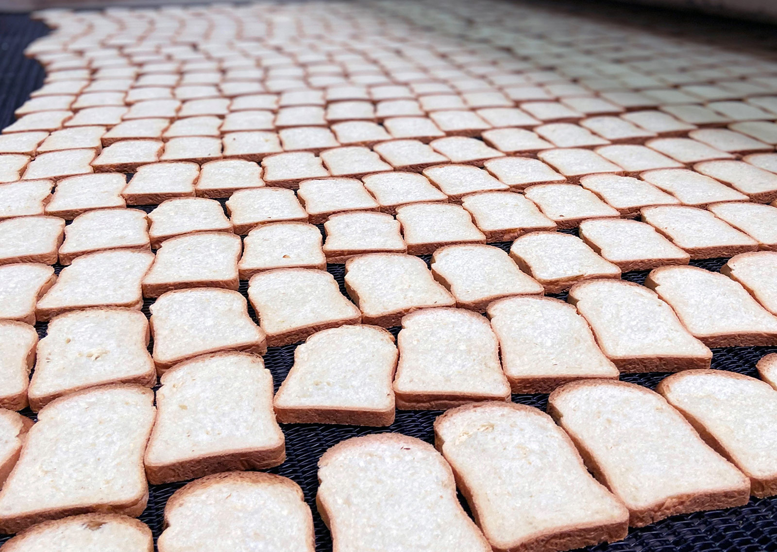 L'histoire des biscottes Roger - Biscottes Roger